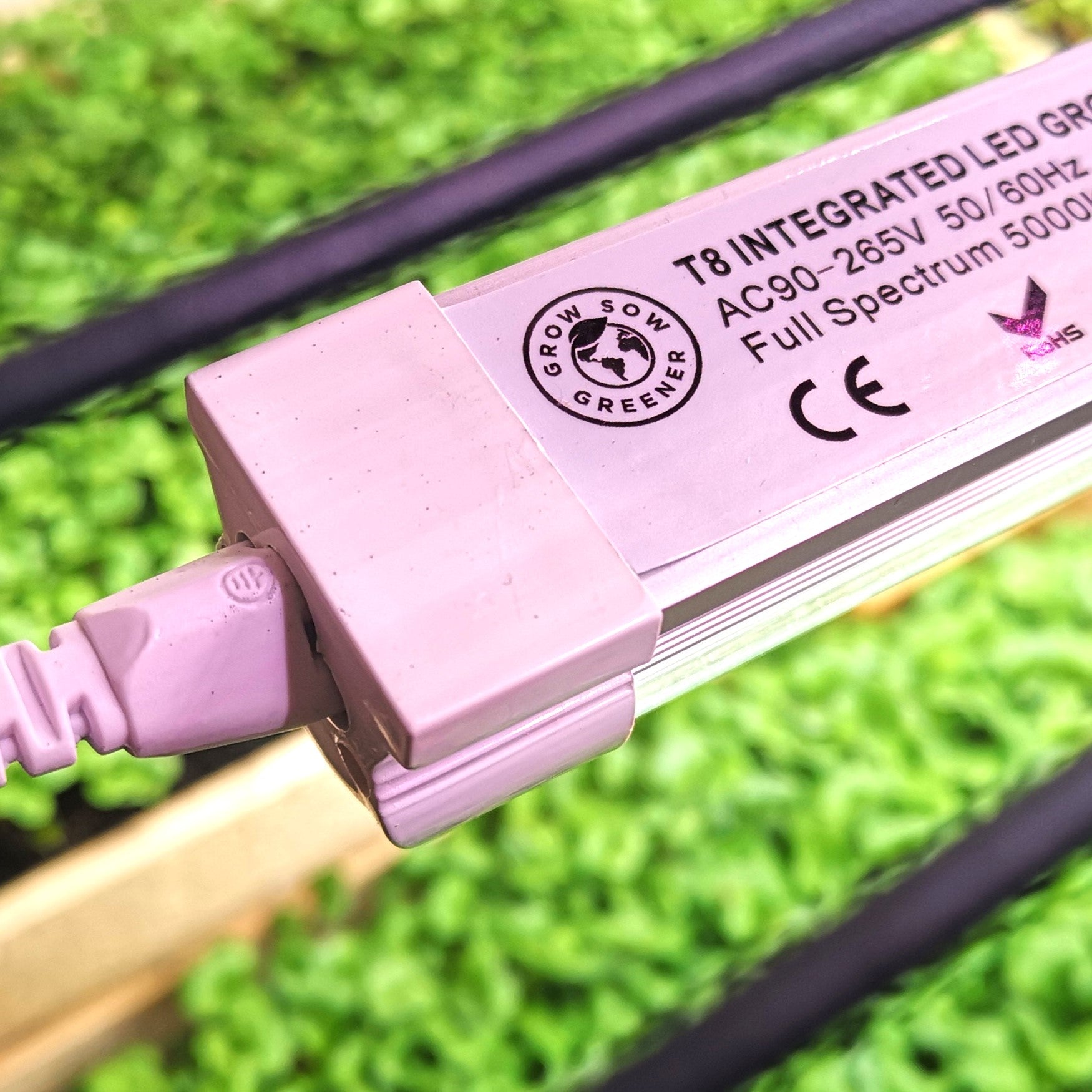 Microgreens Growing Equipment – Grow Sow Greener