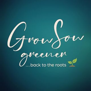 How to Grow Pea Shoot Microgreens: A Complete Guide – Grow Sow Greener